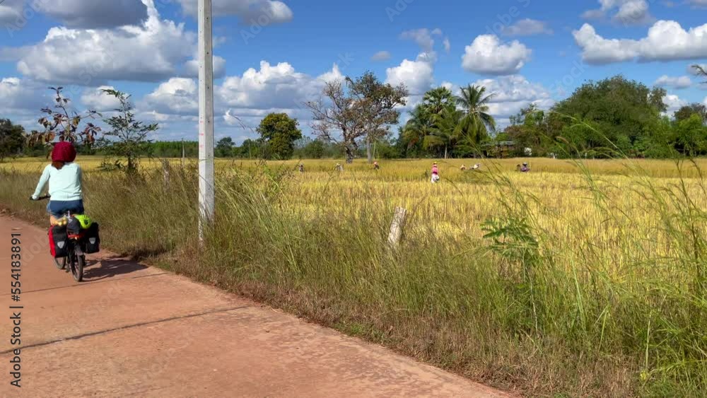 A stationary panning footage of a commuting woman riding her bike with ...
