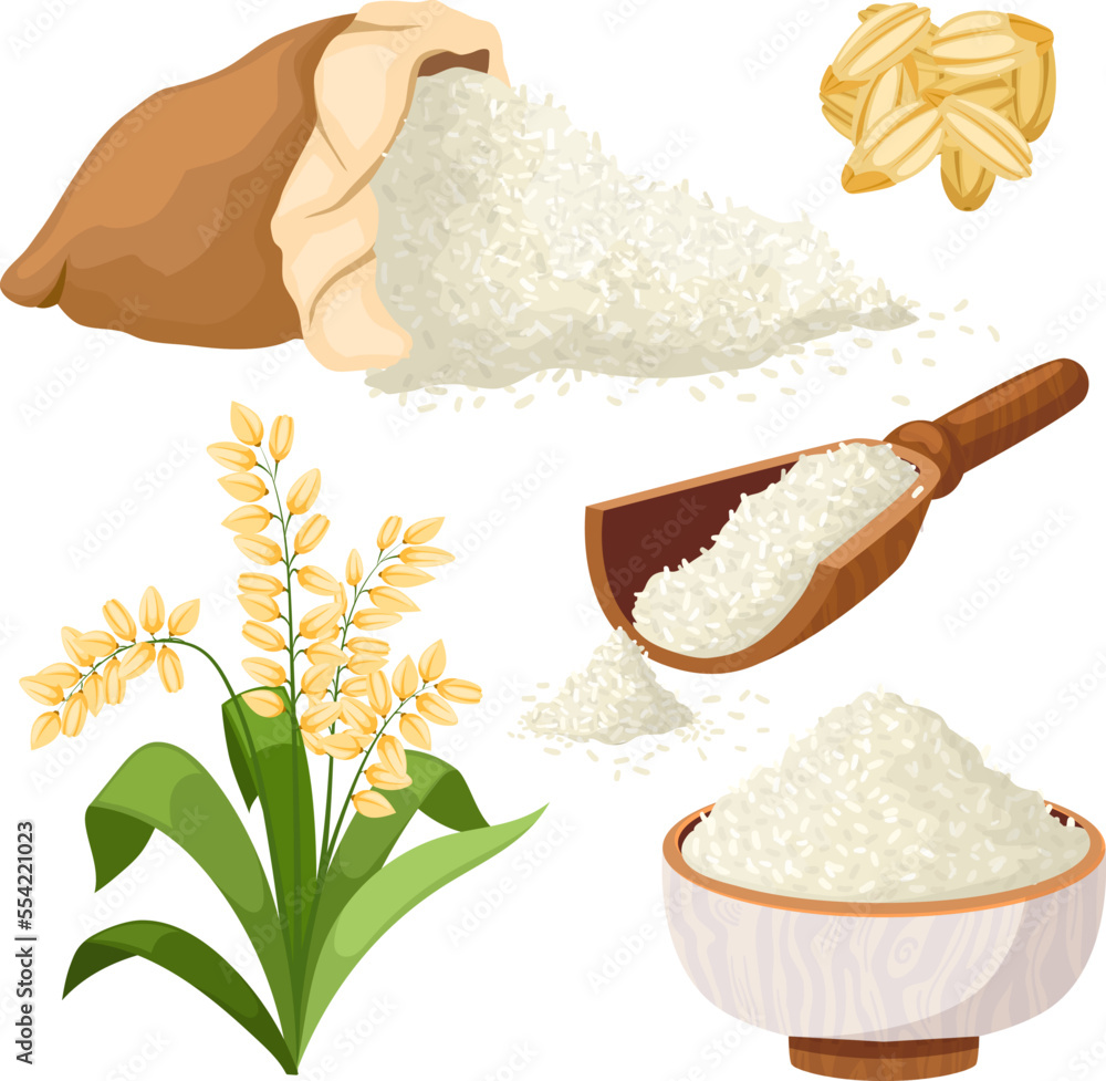 rice grain set cartoon. food bowl, raw, plant, baasmati agriculture ...