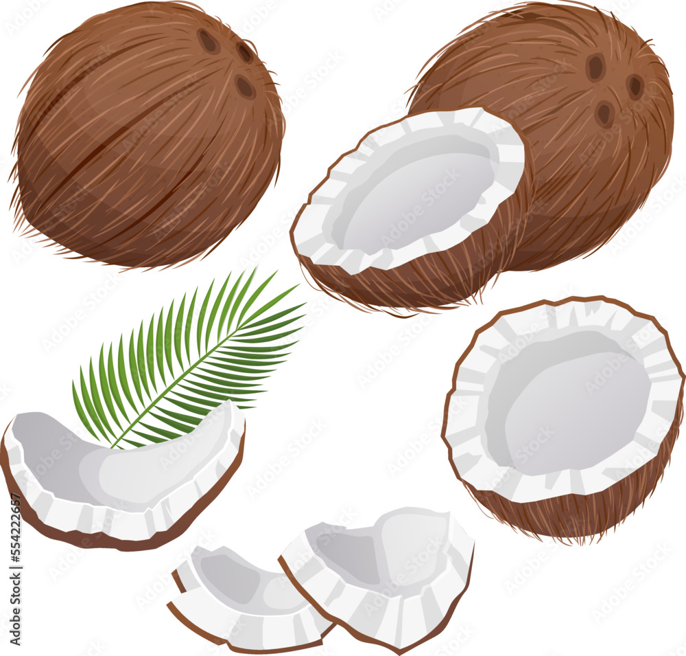coconut coco milk fruit set cartoon. oil leaf, palm summer, green brown ... coconut coco milk fruit set cartoon. oil leaf, palm summer, green brown ...