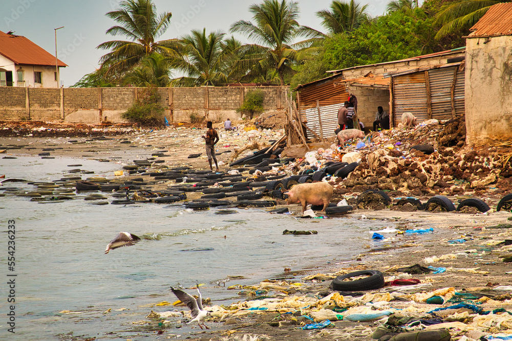 Foto de Beach sand and ocean with so many garbage with pigs eating ...