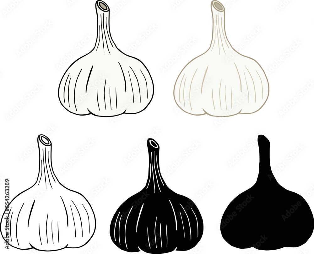 Garlic Bulb Clipart Set - Outline, Silhouette & Color Stock Vector ...