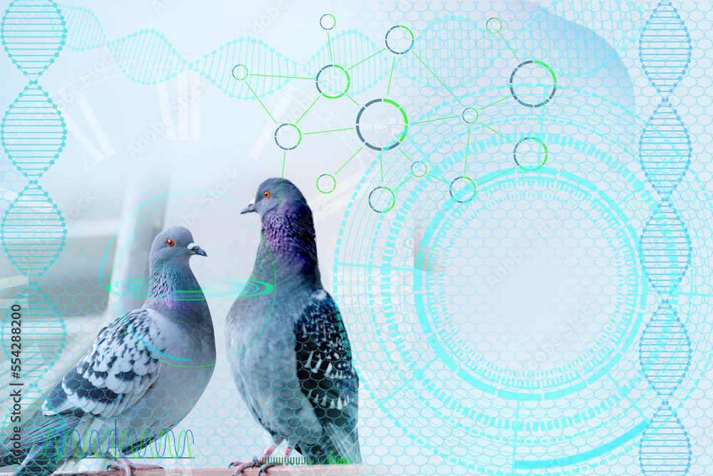 Foto de two Feral pigeons in chemical laboratory, people concept ...