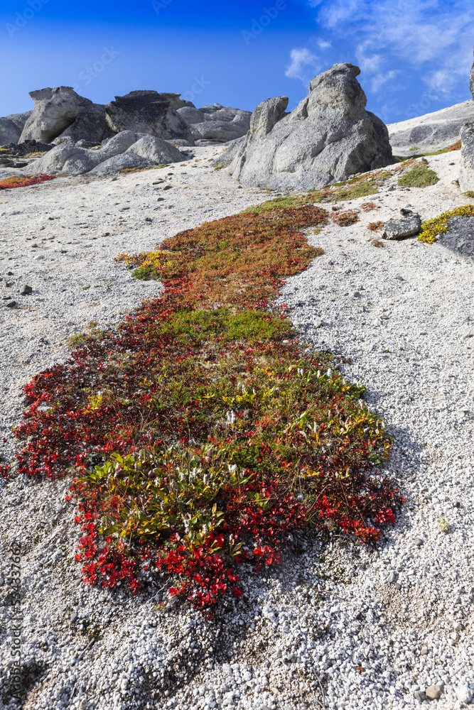 Rock formations along the Kesugi Ridge Trail on Ermine Hill, Denali ...