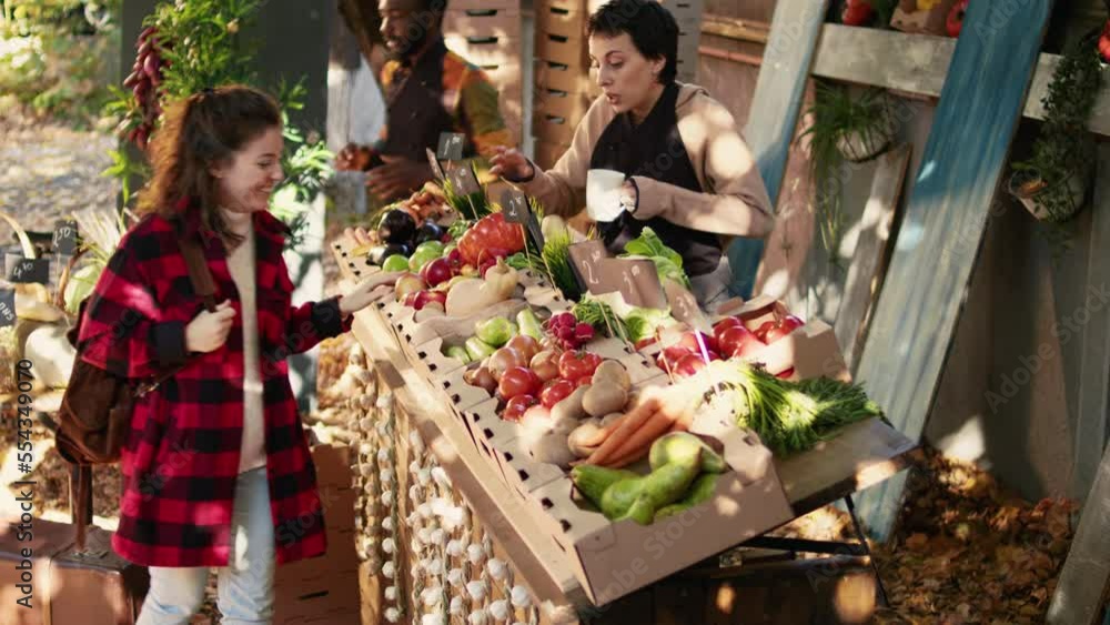 Vídeo do Stock: Happy business owner selling bio organic apples to ...