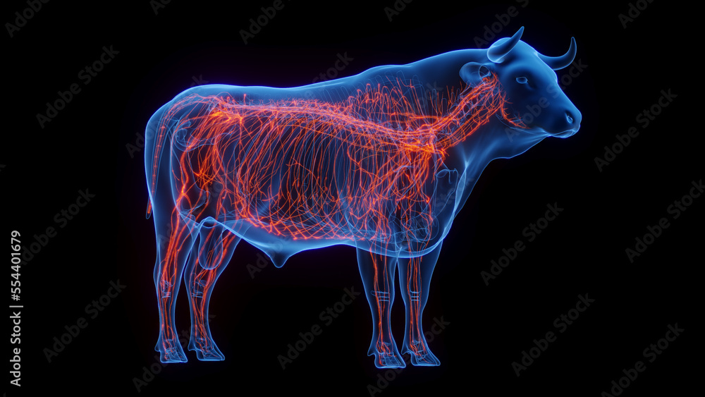 3D medical illustration of a cow's nervous system Stock Illustration ...