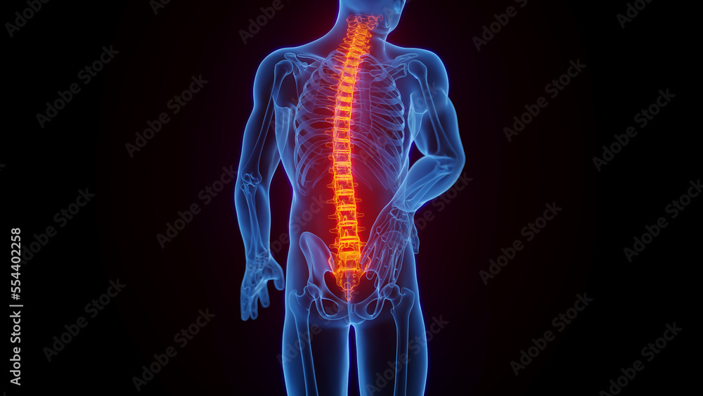 3D medical illustration of a man experiencing back pain Stock ...
