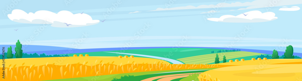 Landscape view of a wheat field. The crop of a golden color. The ...