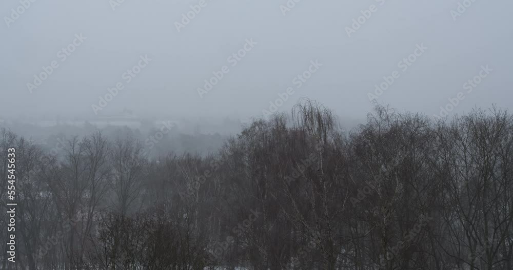 Trees shaking in heavy winds with heavy snow fall. Layers of lines of ...