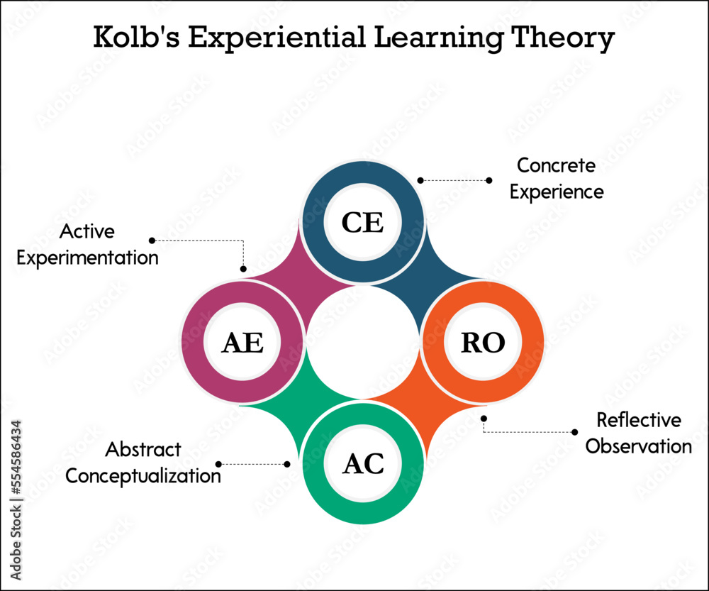 Kolb's Experiential Learning Theory in an infographic template Stock ...