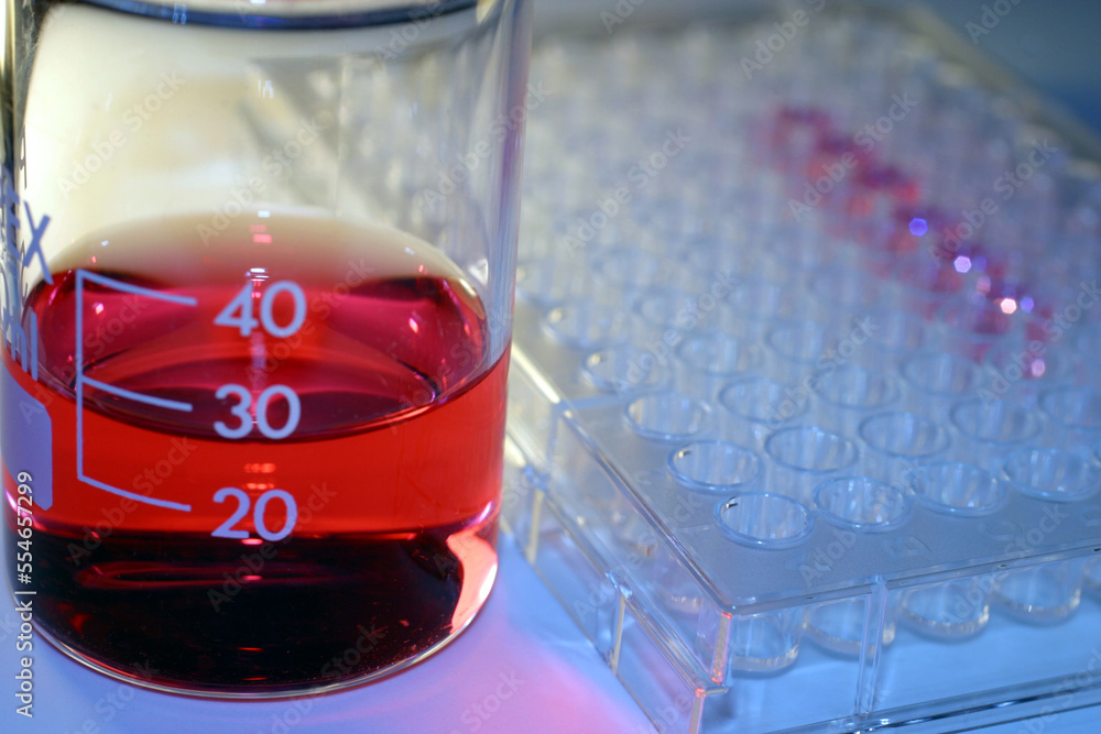 Beaker with culture medium containing phenol red pH indicator Stock ...