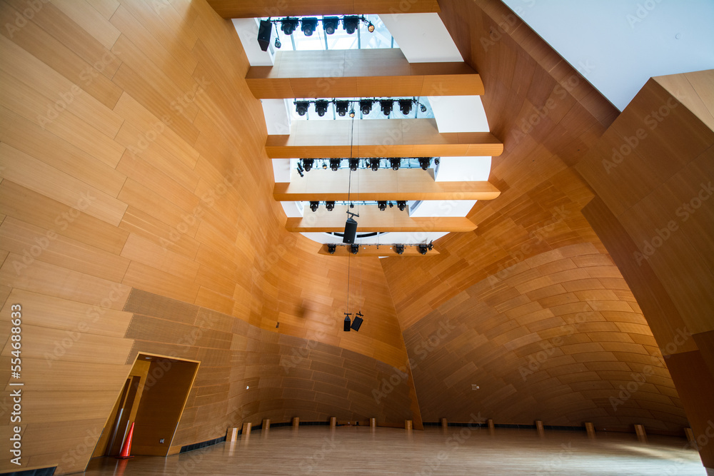 Interior of Walt Disney Concert Hall in downtown LA. The iconic ...