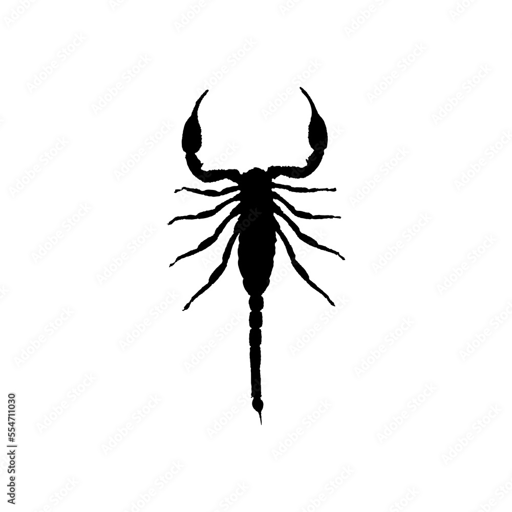 Scorpion icon. Simple style scorpion poster background symbol. Scorpion ...