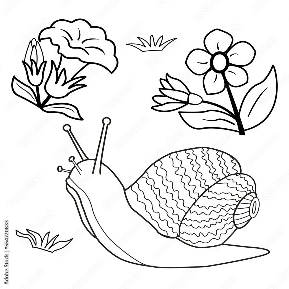 Coloring book. Cartoon vector snail, flowers, and grass. Cute snail ...
