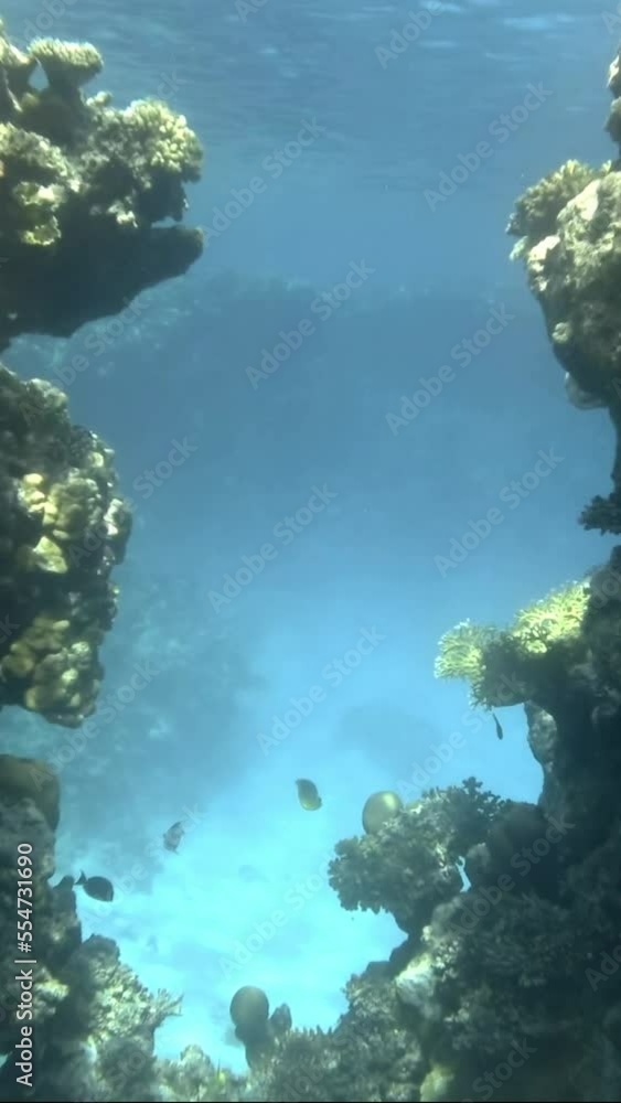 VERTICAL VIDEO, Slow motion, Sailing through a rift in a coral reef ...