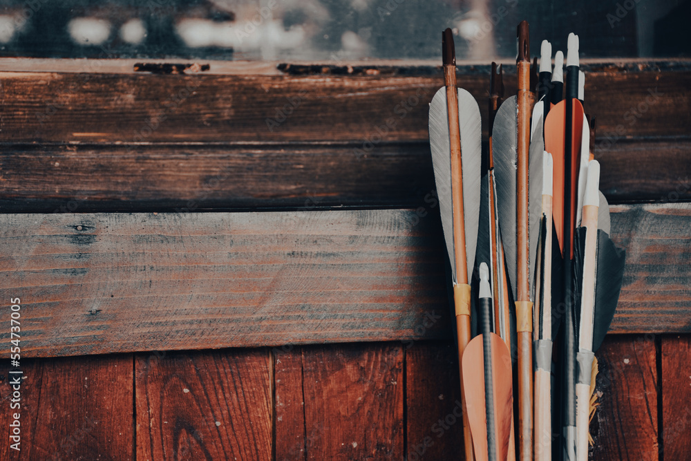 Colorful traditional archery arrows leaning vertically on colorful ...