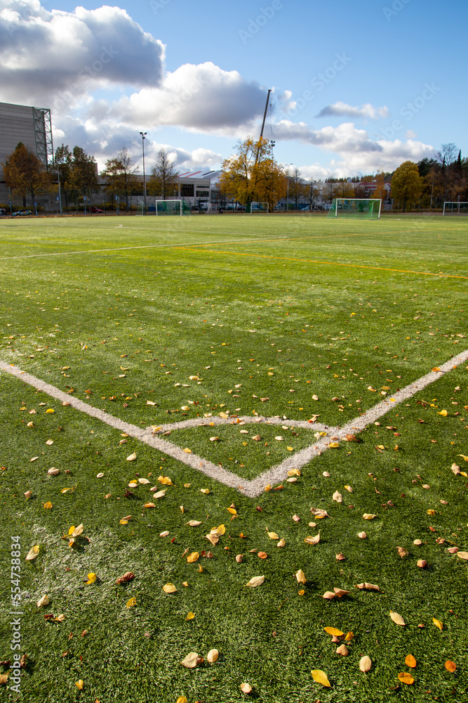 Corner border of football field with autumn leaves Stock Photo | Adobe ...