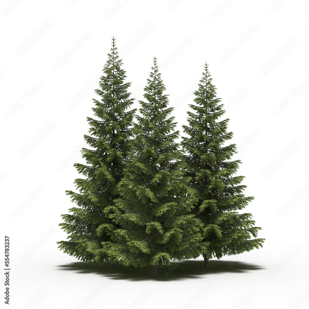 group of trees with a shadow under it, isolated on a transparent ...