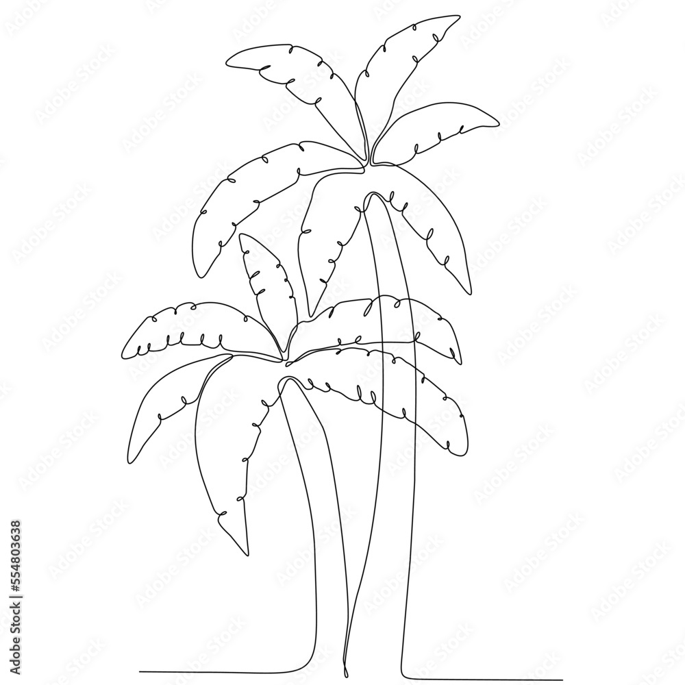 continuous line drawing of natural coconut Vector Illustration Stock ...
