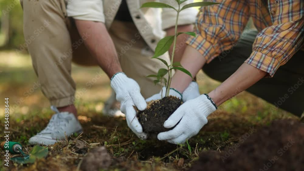 Concept of eco earth day,sustainability,Saving environment,save clean ...