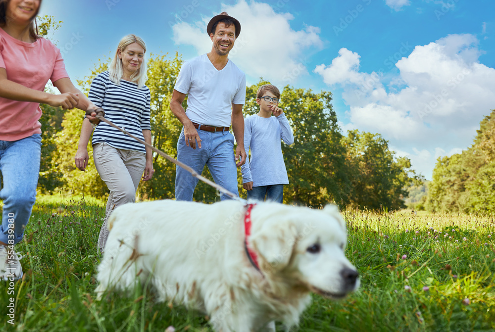 Gassi gehen mit Hund im Sommer im Park Stock Photo | Adobe Stock