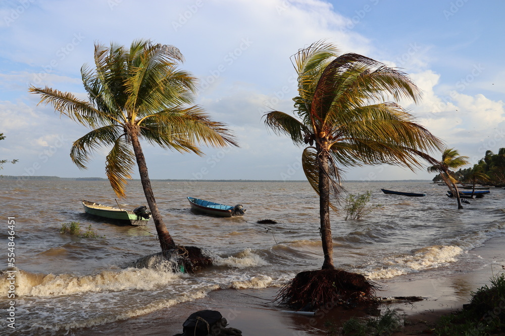 Galibi, Suriname. 23-10-2022. The surf at the hotel. The palm trees ...