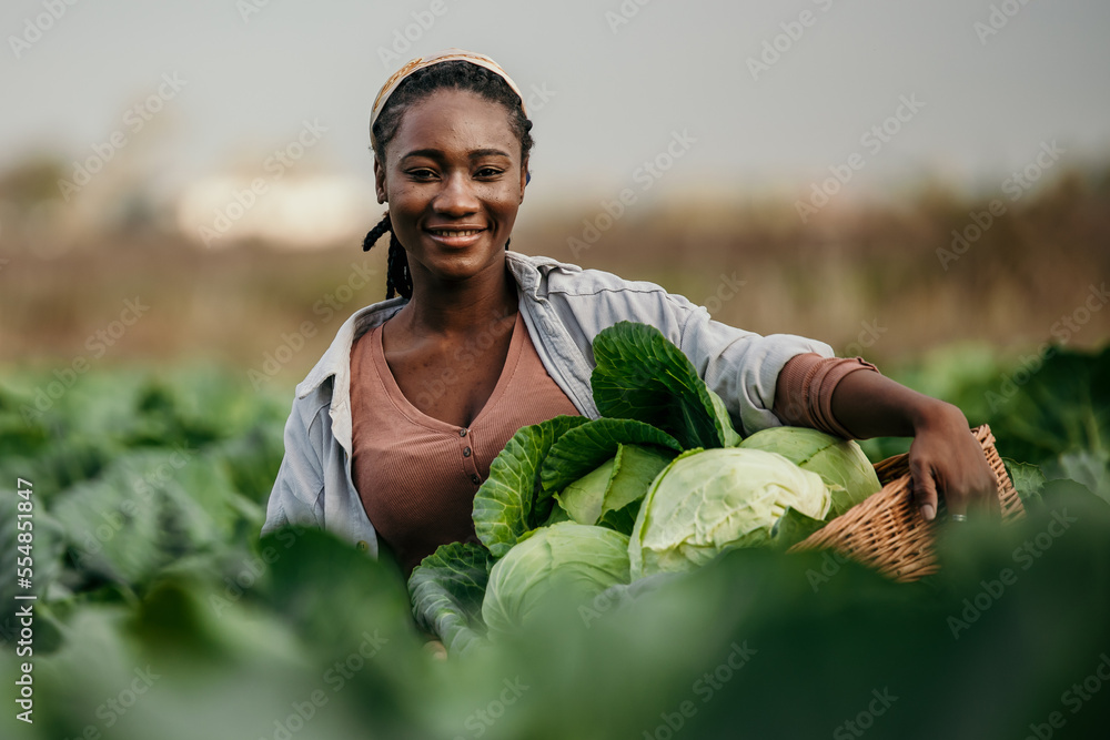 Portrait of a dedicated black woman holding a crate full of fresh ...