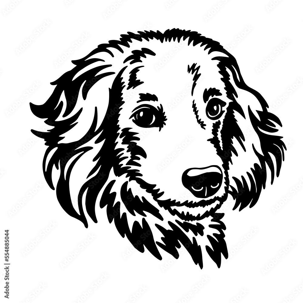 Vetor de Dog Scottish setter spaniel Scottish setter spaniel portrait ...