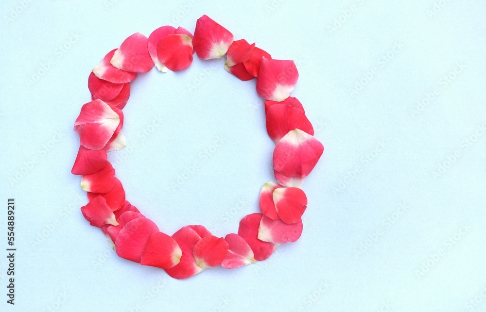 O Capital English Letter Created with Pink Rose Flower Petals on Bright ...