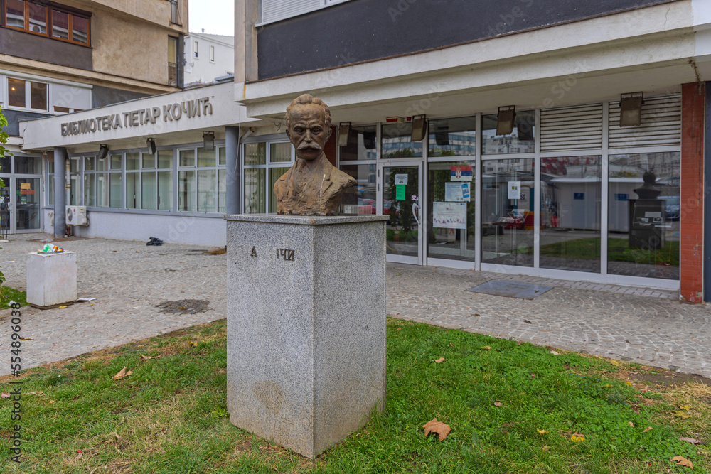 Petar Kocic Bust Library Stock Photo | Adobe Stock