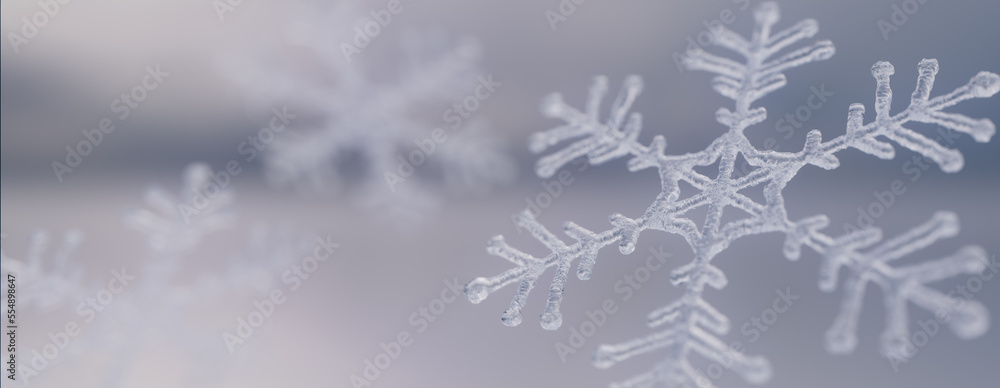 Snowflake Christmas Background. Beautiful, Icy Winter Banner with copy ...