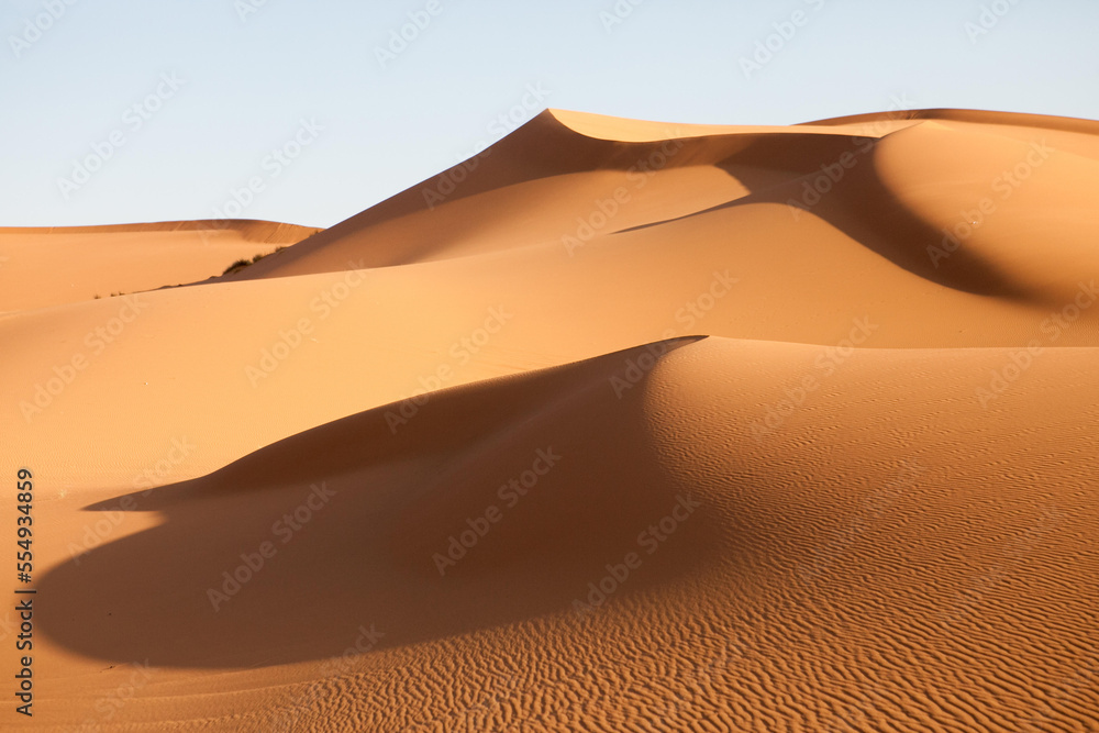 Sand dunes in the Sahara desert are illiminated in soft light.; Erg ...