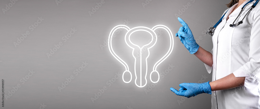 Male urogenital system, reproductive health concept. Men genitals check ...