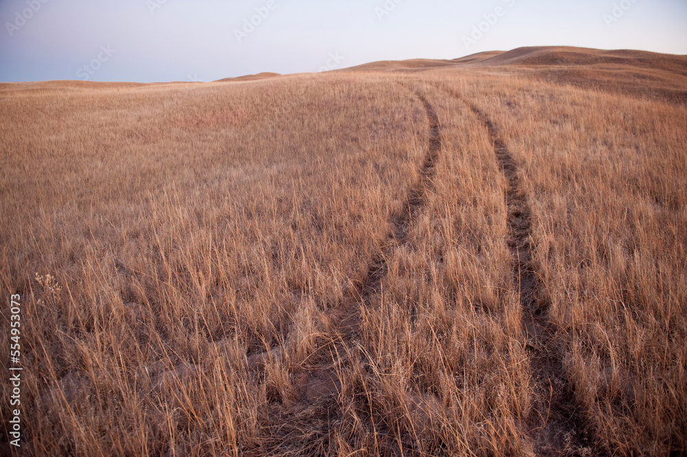 Tire tracks leading through a vast grass field; Lakeside, Nebraska ...