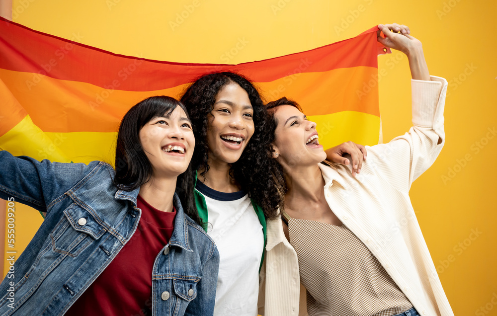 Happy pride month Group diversity African, Asian, caucasian holding ...