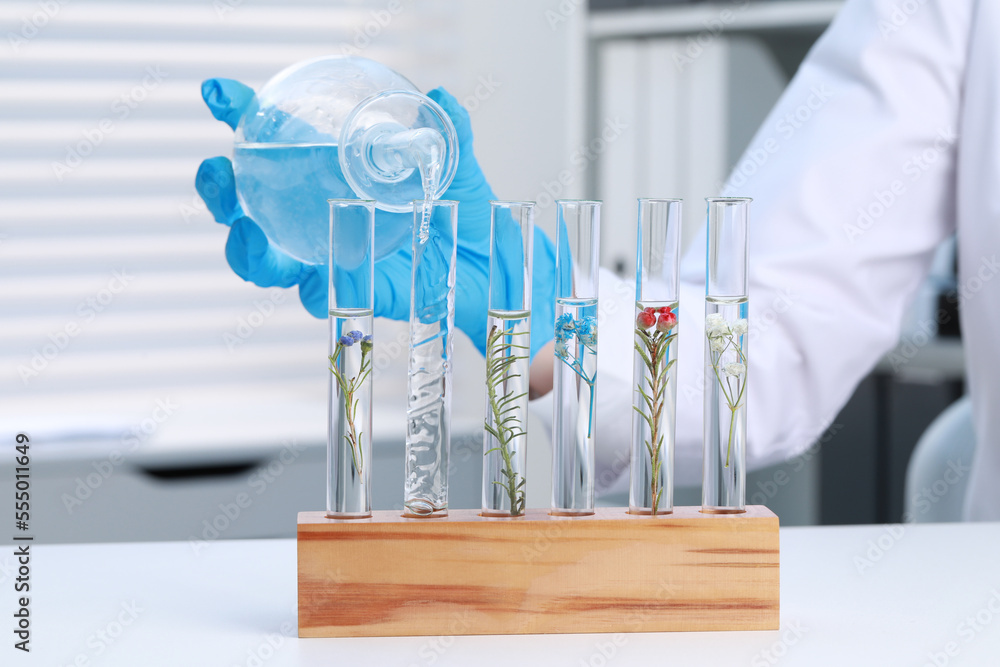 Scientist pouring water into test tube with plant at white table in ...