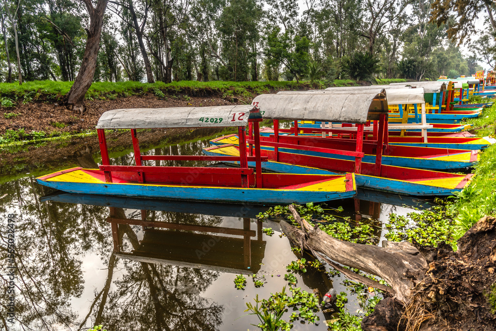 Traditional Mexican trajinera boat in Xochimilco channels and lake of ...