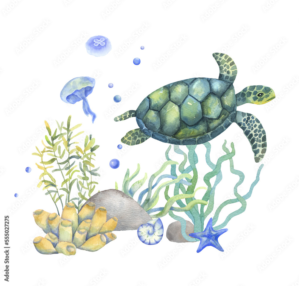 Watercolor swimming turtle isolated on white background. Hand drawn ...