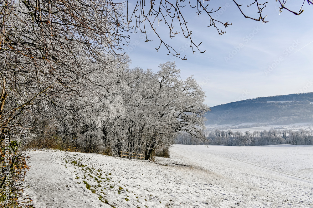 Mariastein, Winter, Winterlandschaft, Spazierweg, Felder ...