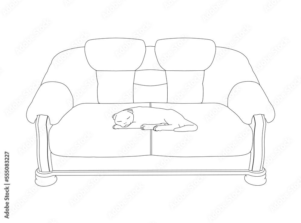 Outline of a sleeping cat on a sofa from black lines isolated on a ...