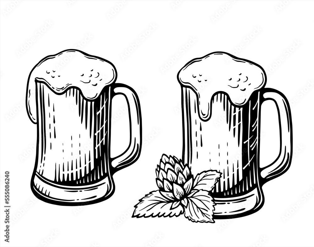 Beer mug vector sketch. Hops. Line art. Template. Close-up. Clip art ...