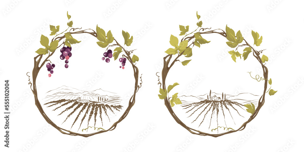 Grapevine - vector illustration. Design elements with a twisting vine ...