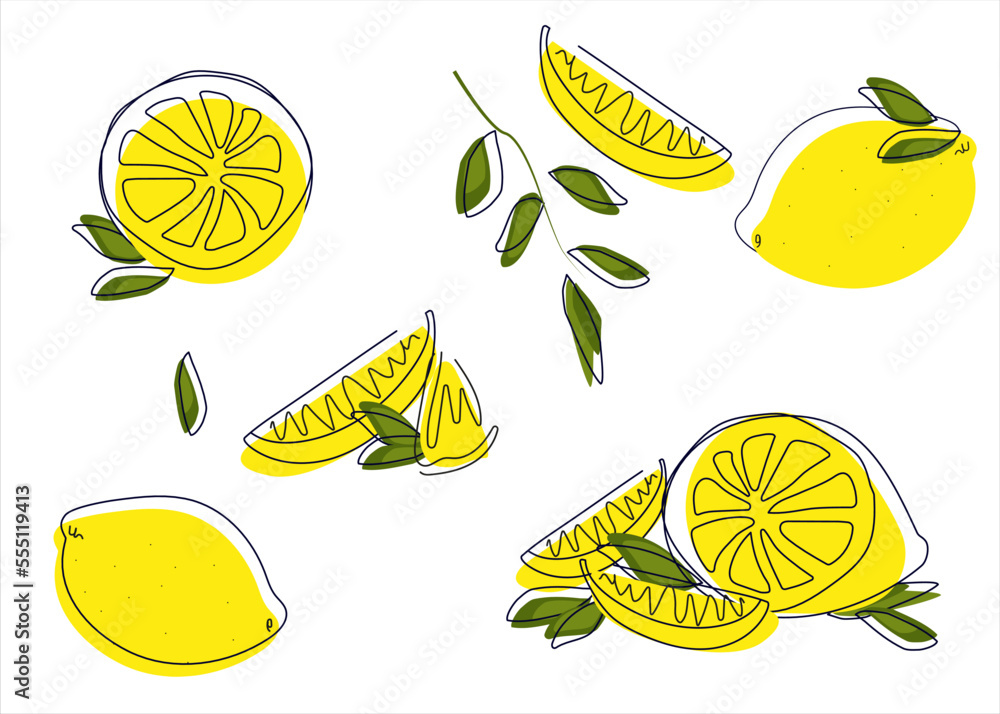 Lemon packaging design. Lemons freehand in line art style. Vector ...