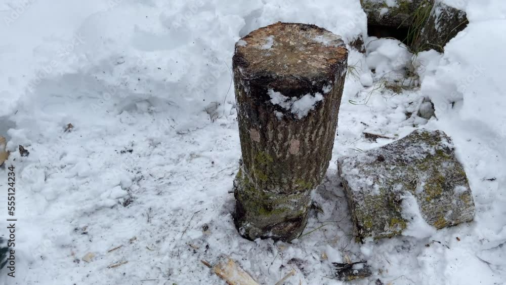 Person is chopping wood with an ax in village in winter. Ax during the ...