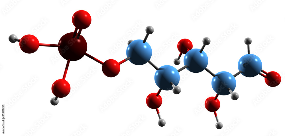 3D image of Ribose 5-phosphate skeletal formula - molecular chemical ...