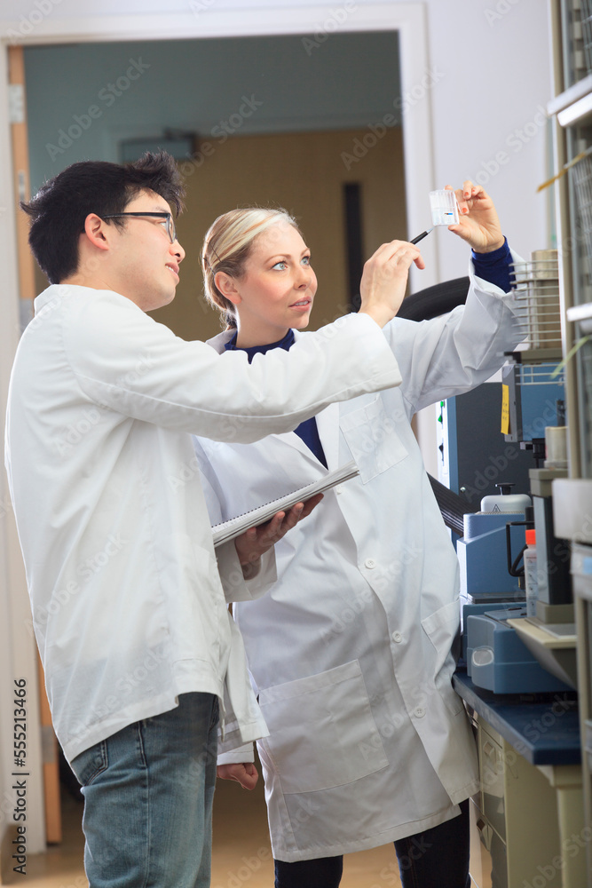 Engineering students looking at reference samples for thermogravimetric ...