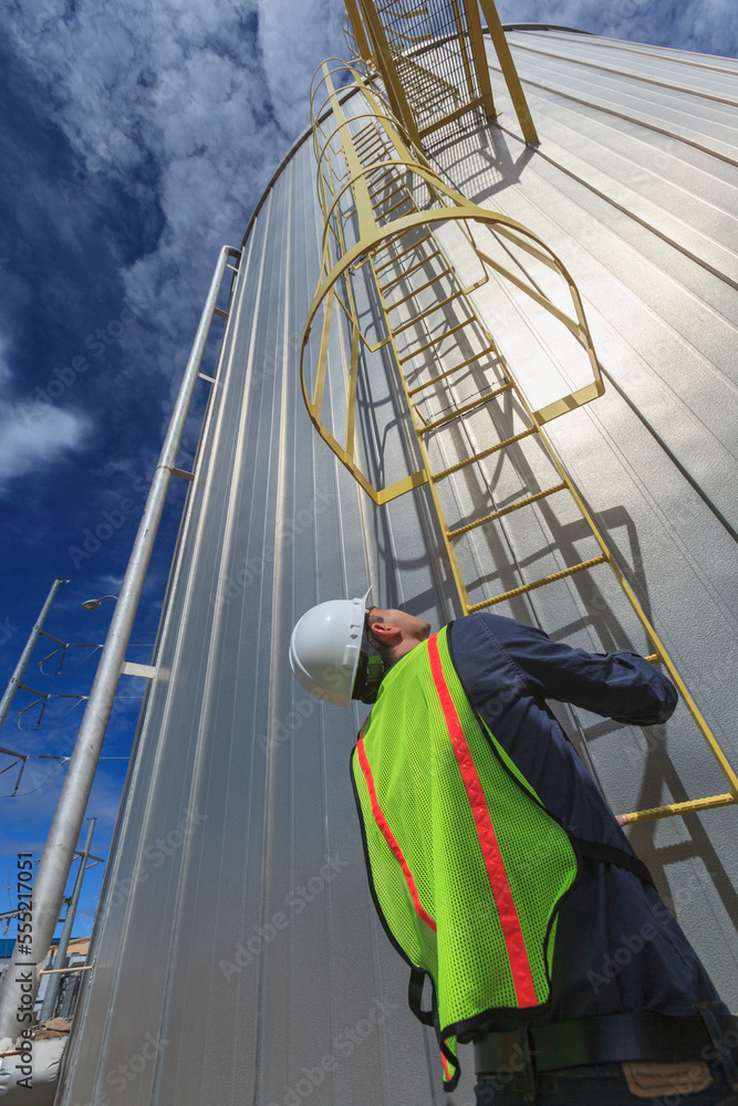 Industrial engineer preparing to climb ladder with safety cage at a ...
