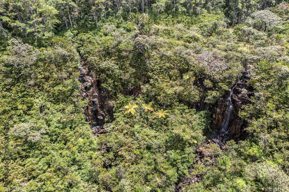 Alexandra Falls Mauritius - aerial view of remote area in the Black ...