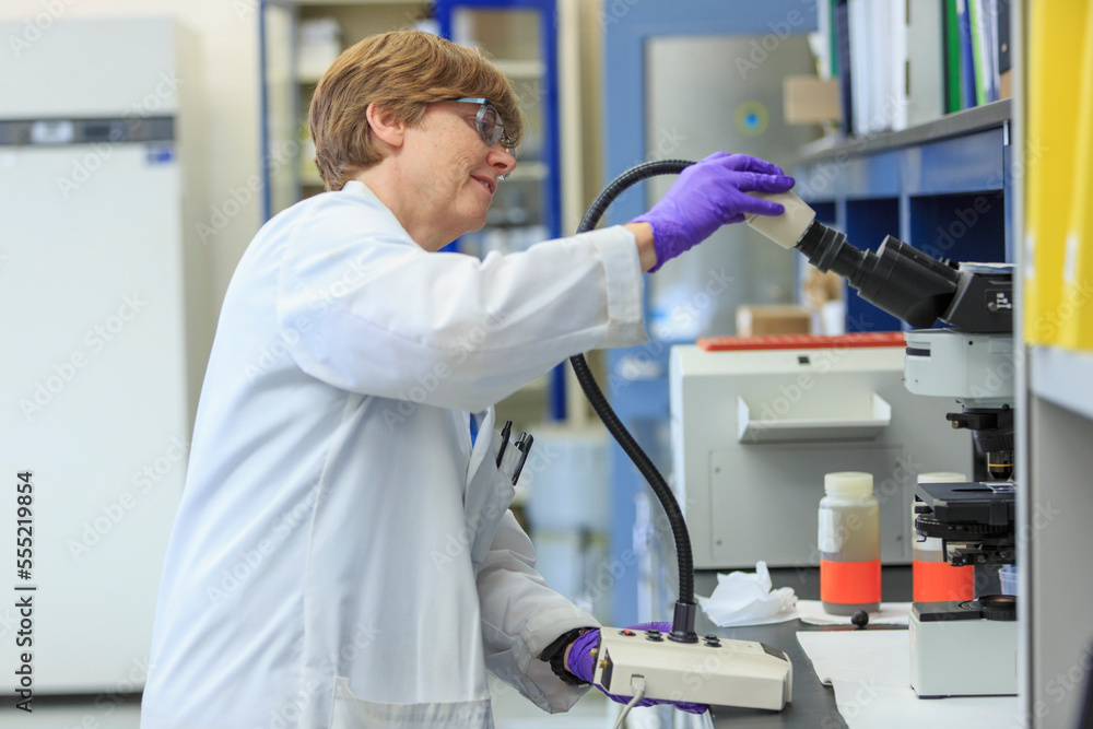 Lab chemist capturing a digital image of a sample slide on a microscope ...