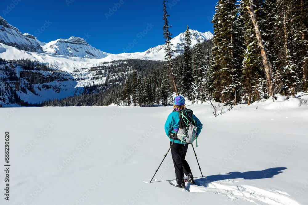 Female Snowshoeing And Breaking A Trail On An Untouched Snow Covered