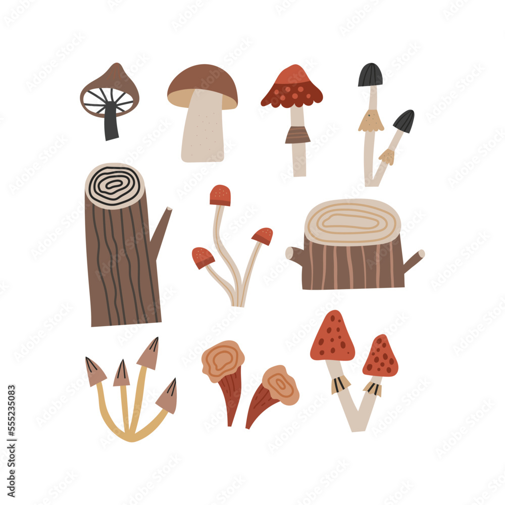Hand drawn woodland types of mushrooms and tree stumps isolated on ...